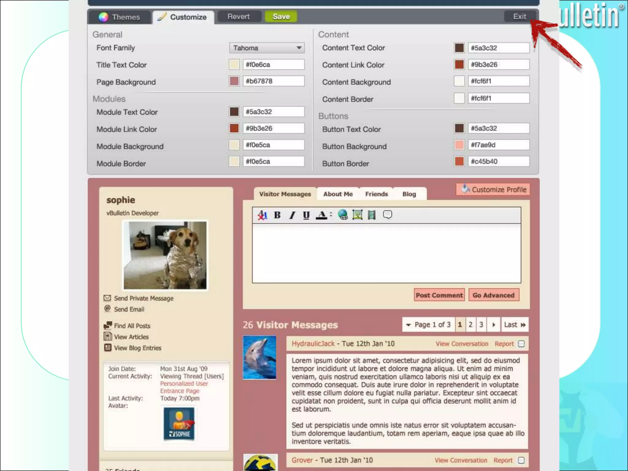 vBulletin forum software Profile customization | PPTX