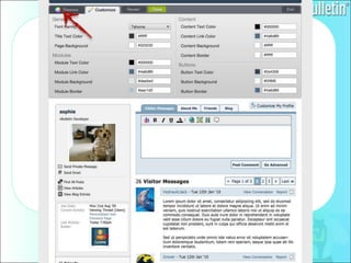 vBulletin forum software Profile customization | PPTX