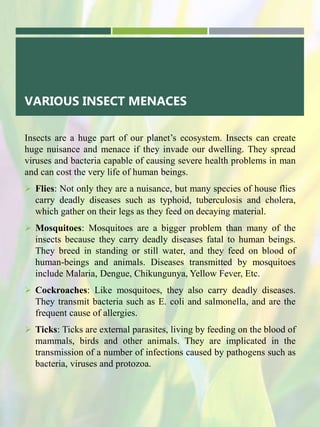 Product Profile of Ocimum Botanical Pvt. Ltd.- FMCG Company | PPTX