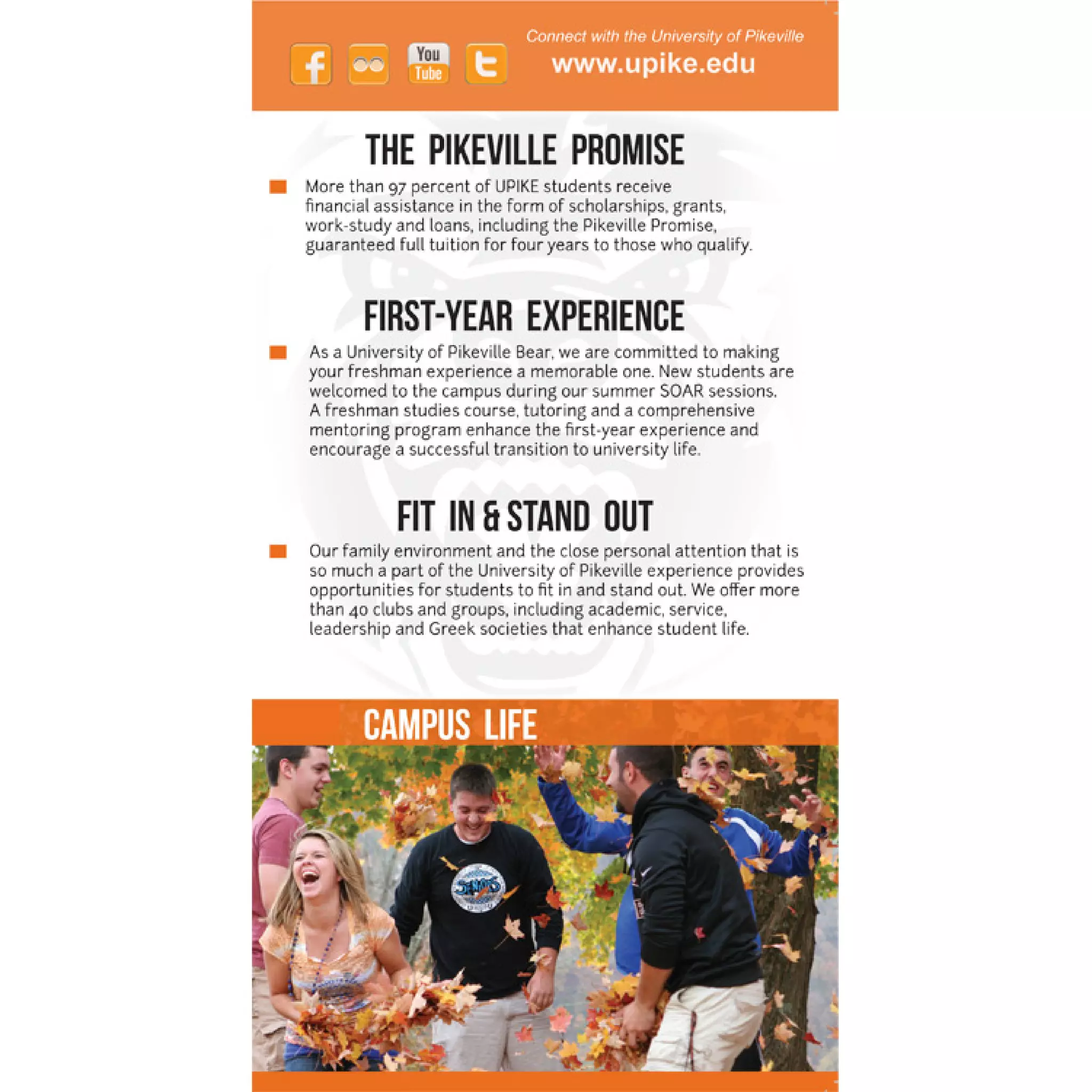 FIT IN and STAND OUT | PDF