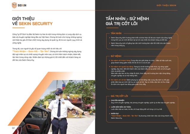 Sekin Security Profile | PDF
