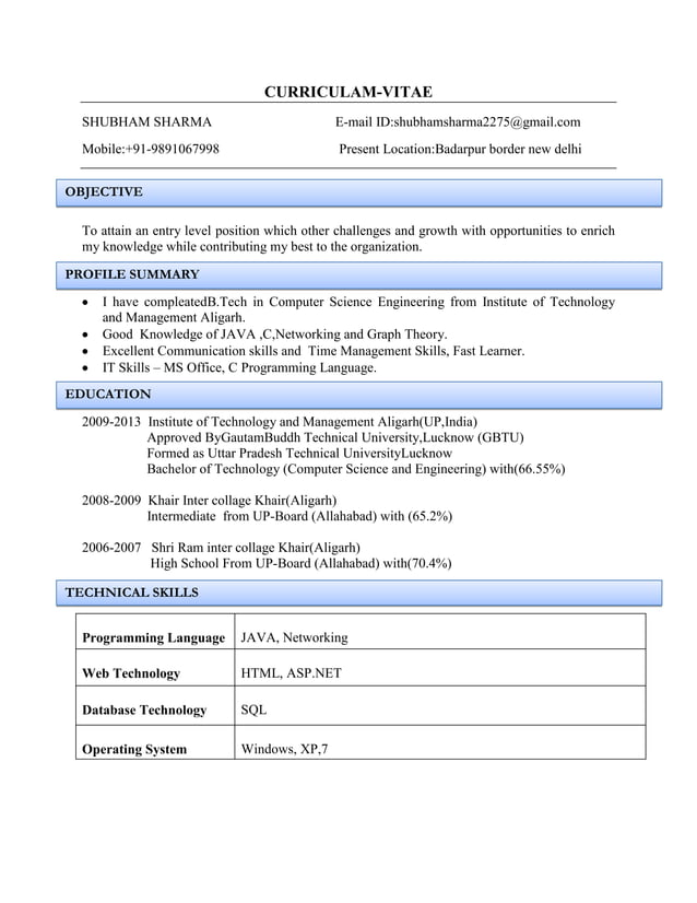 Profile summary | DOCX | Computing | Technology & Computing