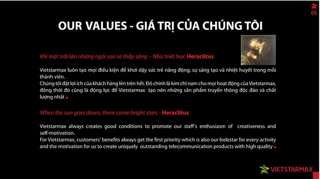 Profile Vietstarmax Production | PDF