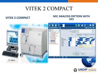 Profil mekanisme resistensi antibiotika acinetobacter baumannii di ICU ...