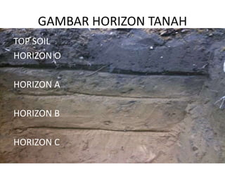 Profil tanah (lapisan tanah) | PPT