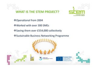 Sustainex 2013 - Profit through Environmental Management Resource Efficiency STEM Anne Mason ...