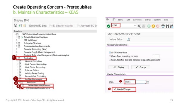 Profitability Analysis (CO PA) in SAP FI | PDF