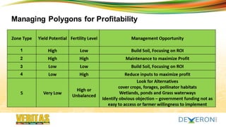 19. Profitability Mapping | PPT