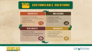 19. Profitability Mapping | PPT