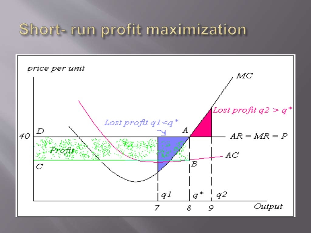 Profit maximization and perfect competition