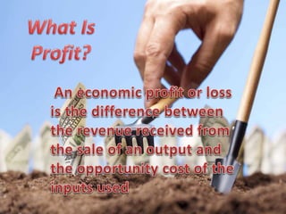 Profit vs return | PPT