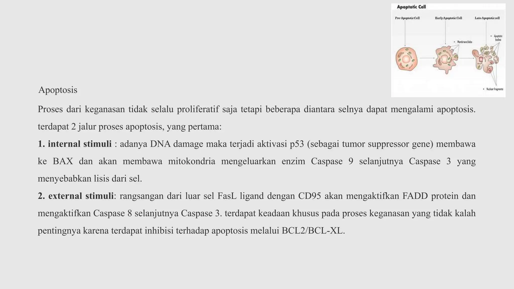 genetika molekuler pada neoplasma, genop DNA | PPTX