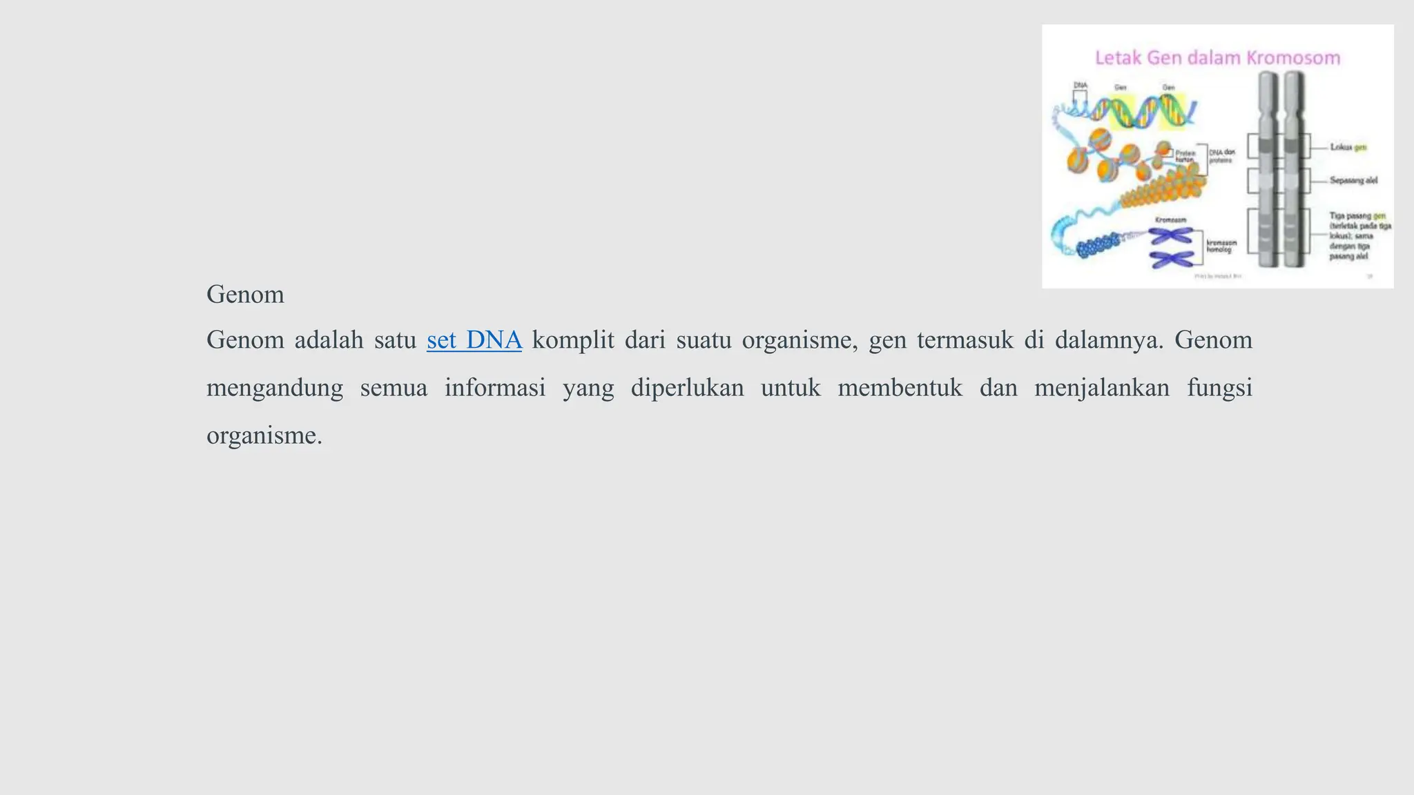 genetika molekuler pada neoplasma, genop DNA | PPTX
