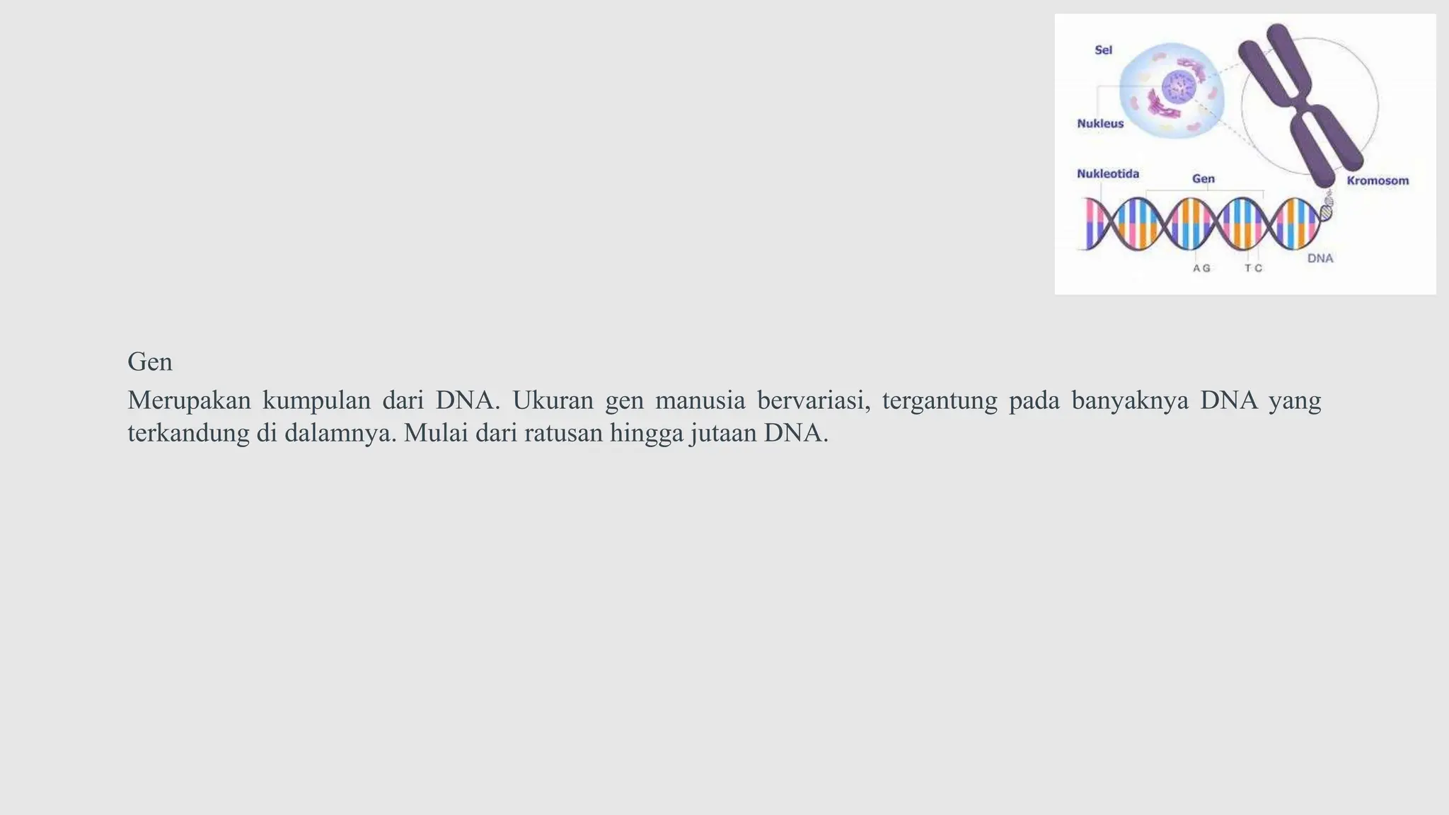 genetika molekuler pada neoplasma, genop DNA | PPTX