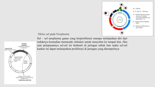 genetika molekuler pada neoplasma, genop DNA | PPTX