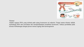 genetika molekuler pada neoplasma, genop DNA | PPTX