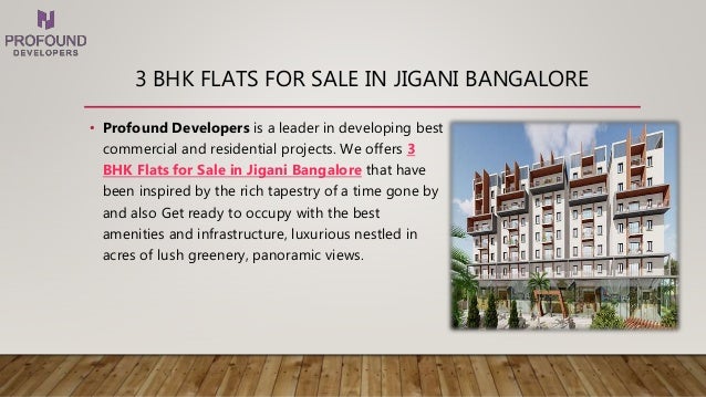 Profound developers | PPTX