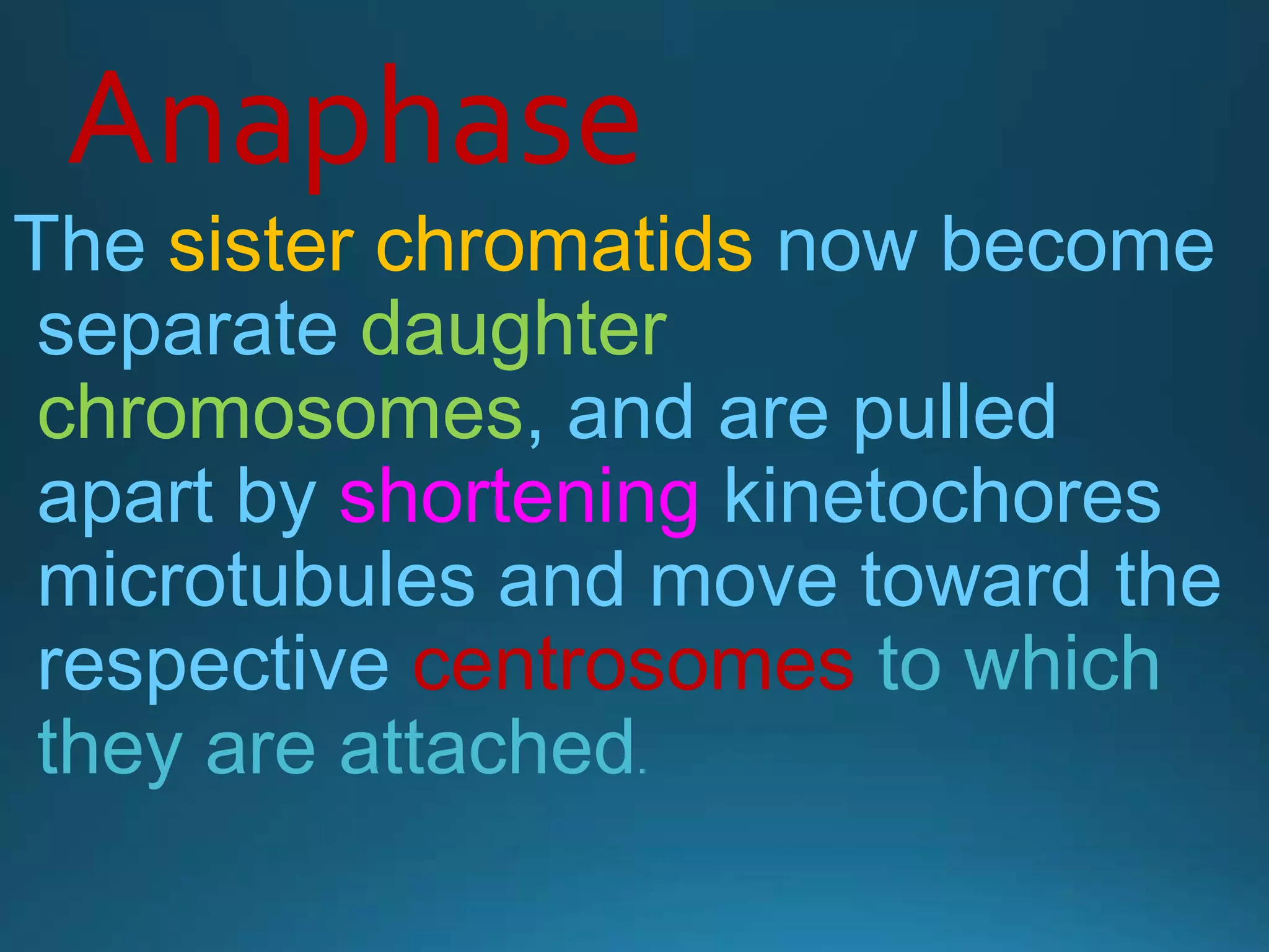 MITOSIS: LIFE SCIENCES FOR GRADE 10`S | PPTX