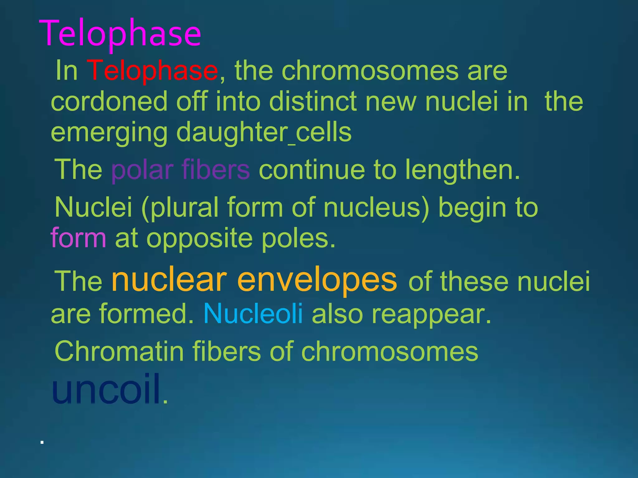 MITOSIS: LIFE SCIENCES FOR GRADE 10`S | PPTX