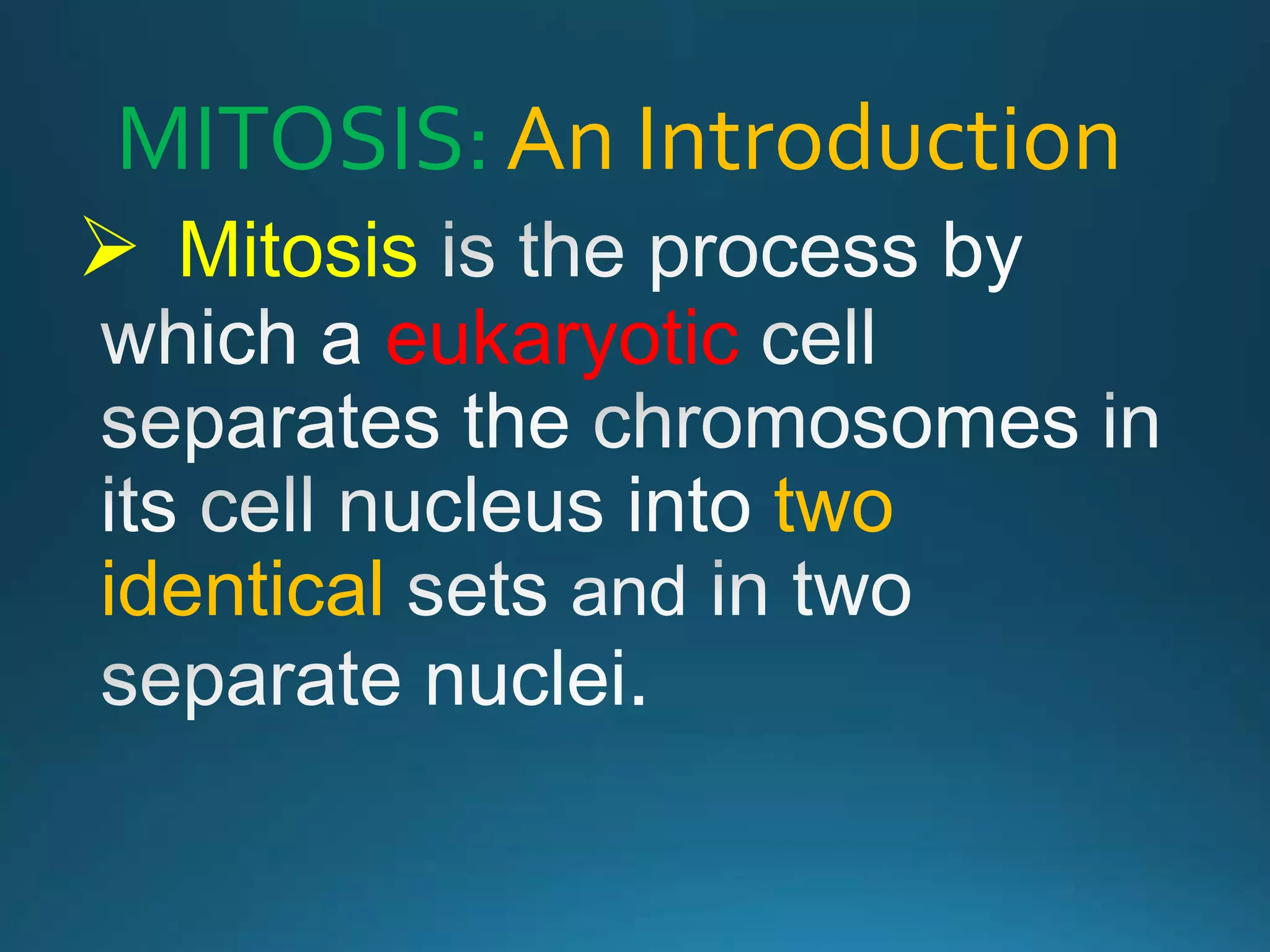 MITOSIS: LIFE SCIENCES FOR GRADE 10`S | PPTX