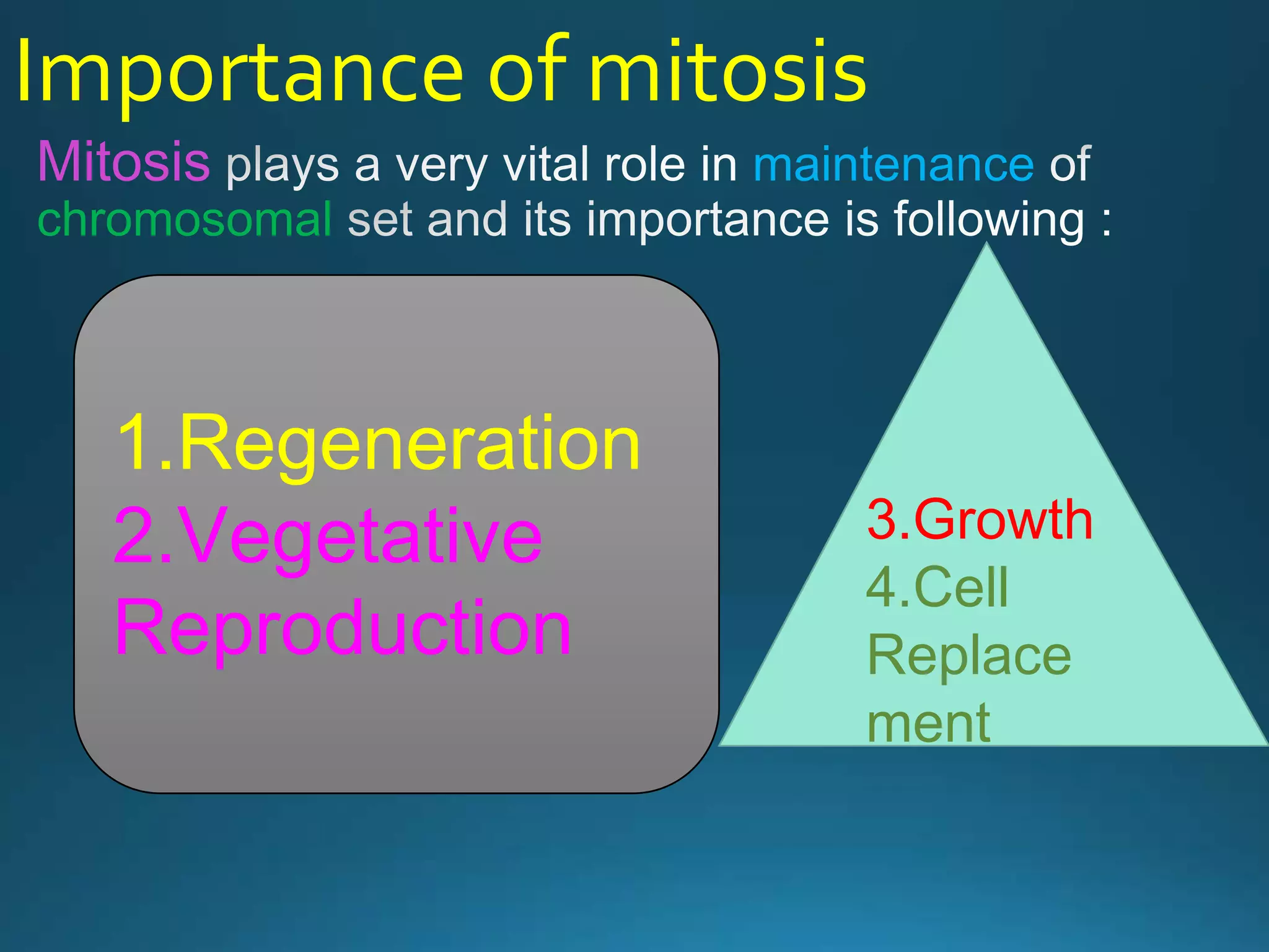 MITOSIS: LIFE SCIENCES FOR GRADE 10`S | PPTX