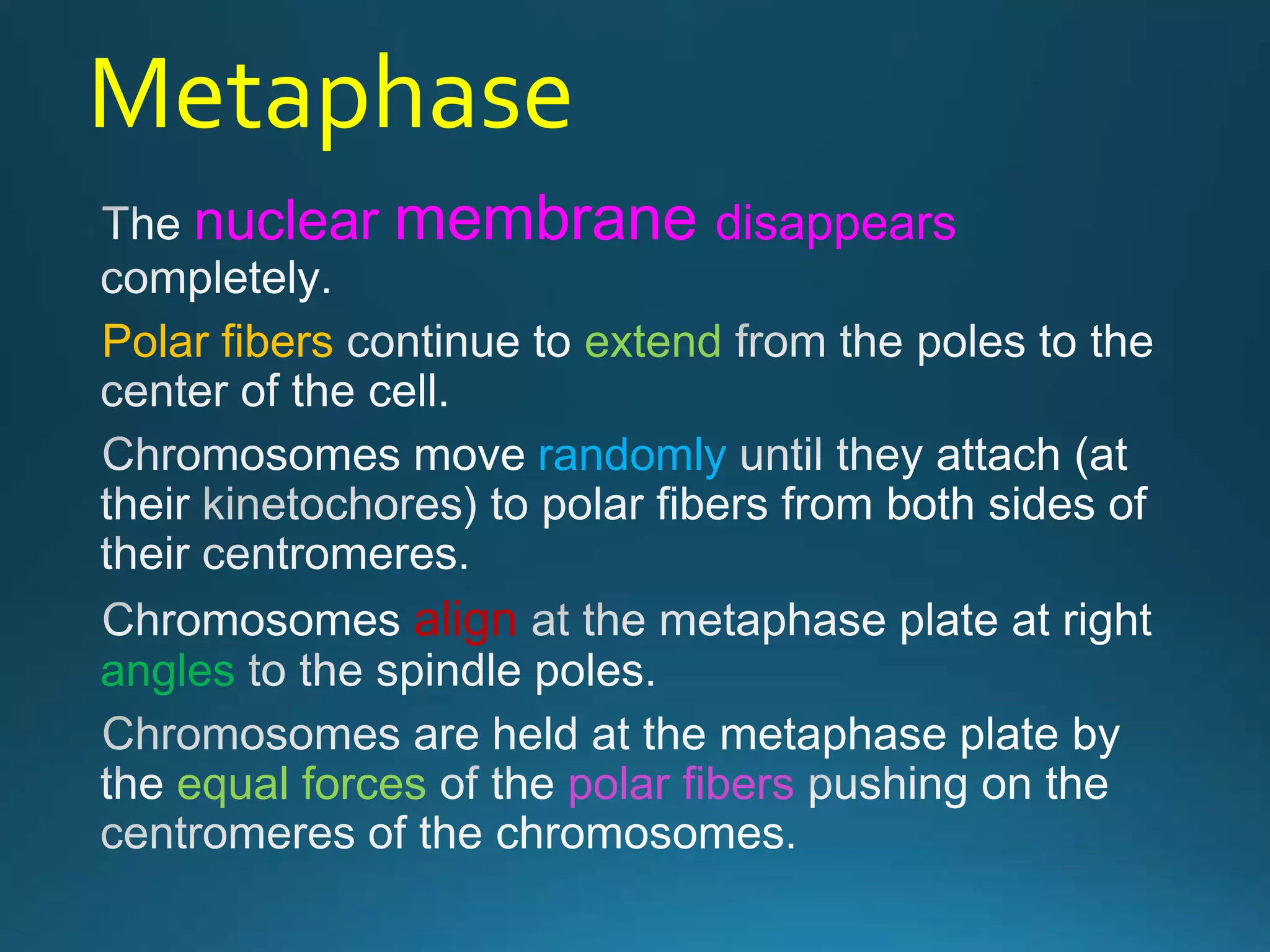 MITOSIS: LIFE SCIENCES FOR GRADE 10`S | PPTX