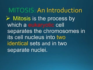 MITOSIS: LIFE SCIENCES FOR GRADE 10`S | PPTX