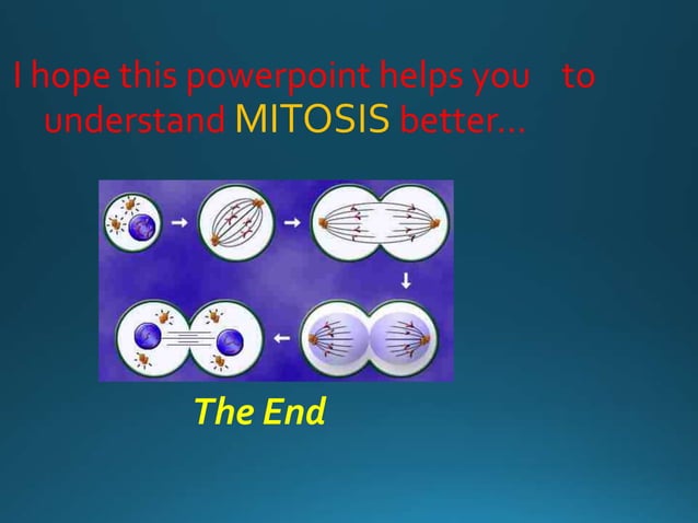 MITOSIS: LIFE SCIENCES FOR GRADE 10`S | PPTX | Biological Sciences ...