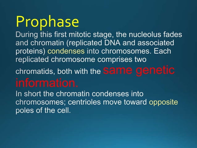 MITOSIS: LIFE SCIENCES FOR GRADE 10`S | PPTX | Biological Sciences ...