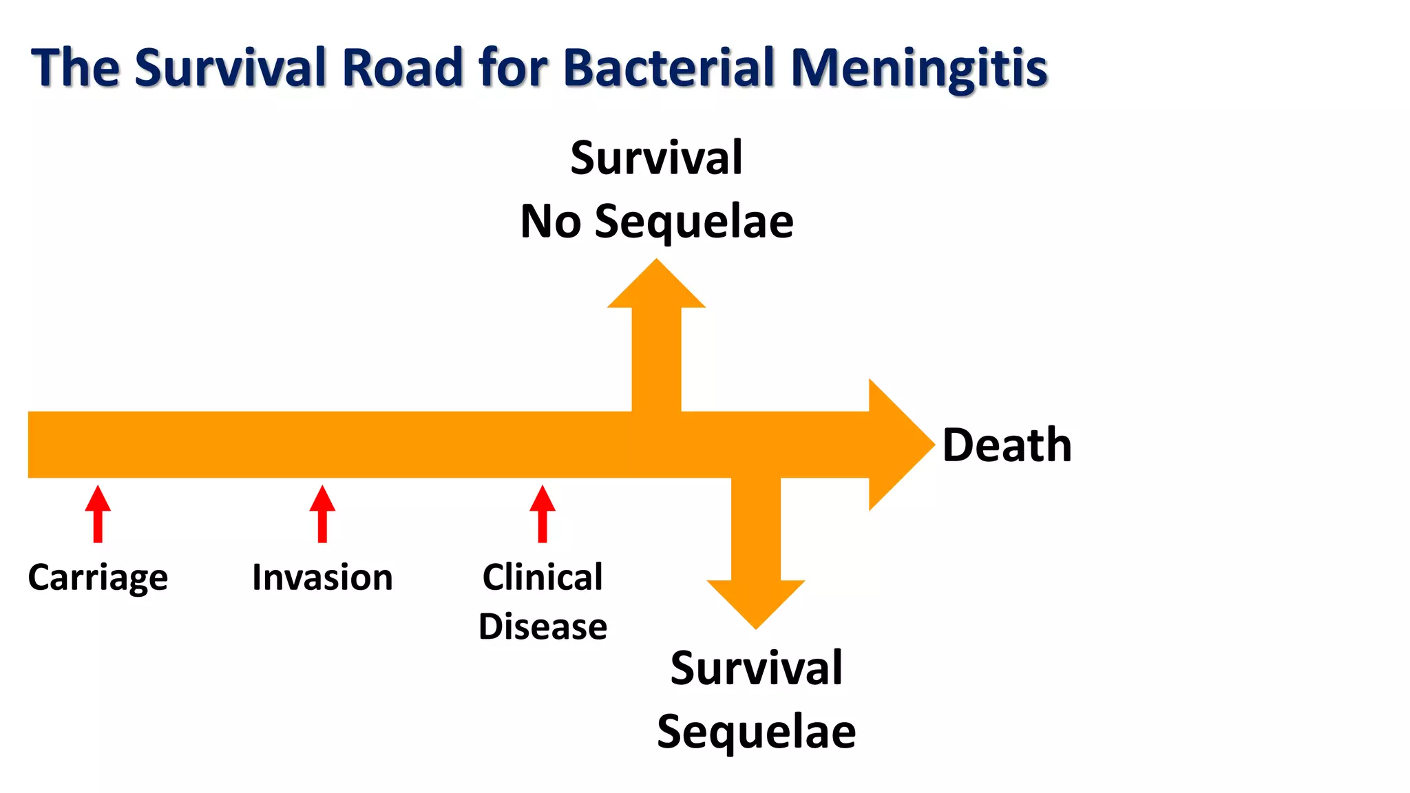 Prof Rob Heyderman @ MRF's Meningitis and Septicaemia 2019 | PPT