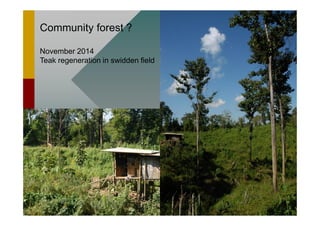 Mapping a full cycle of swidden cultivation in the mountains of Myanmar ...