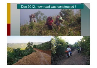 Mapping a full cycle of swidden cultivation in the mountains of Myanmar ...