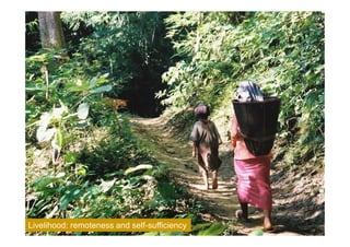 Mapping a full cycle of swidden cultivation in the mountains of Myanmar ...
