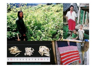 Mapping a full cycle of swidden cultivation in the mountains of Myanmar ...