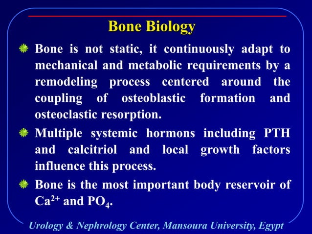 Prof sobh renal osteodystrophy | PPT | Endocrine and Metabolic Diseases ...