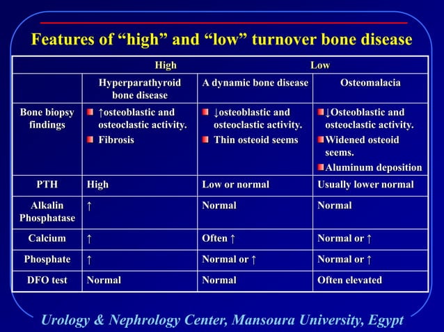 Prof sobh renal osteodystrophy | PPT | Endocrine and Metabolic Diseases ...
