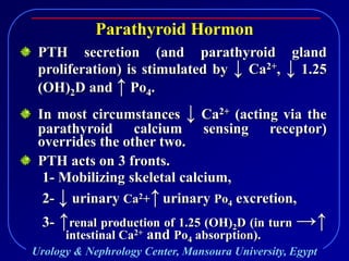 Prof sobh renal osteodystrophy | PPT