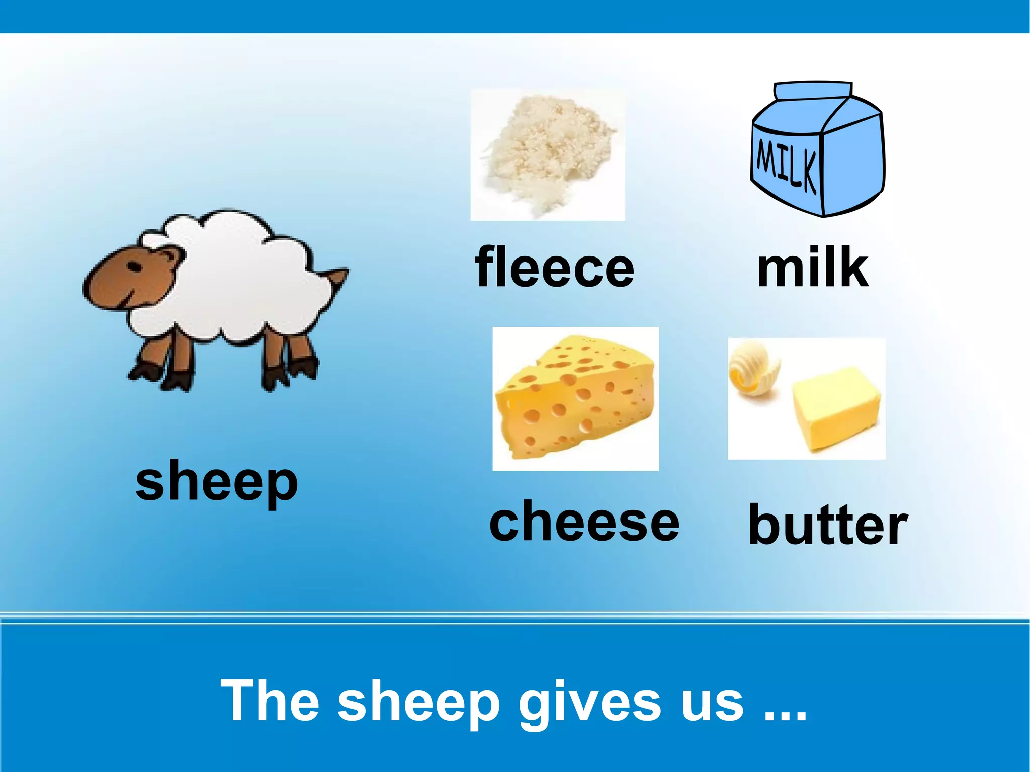 Profucts from farm animals | ODP