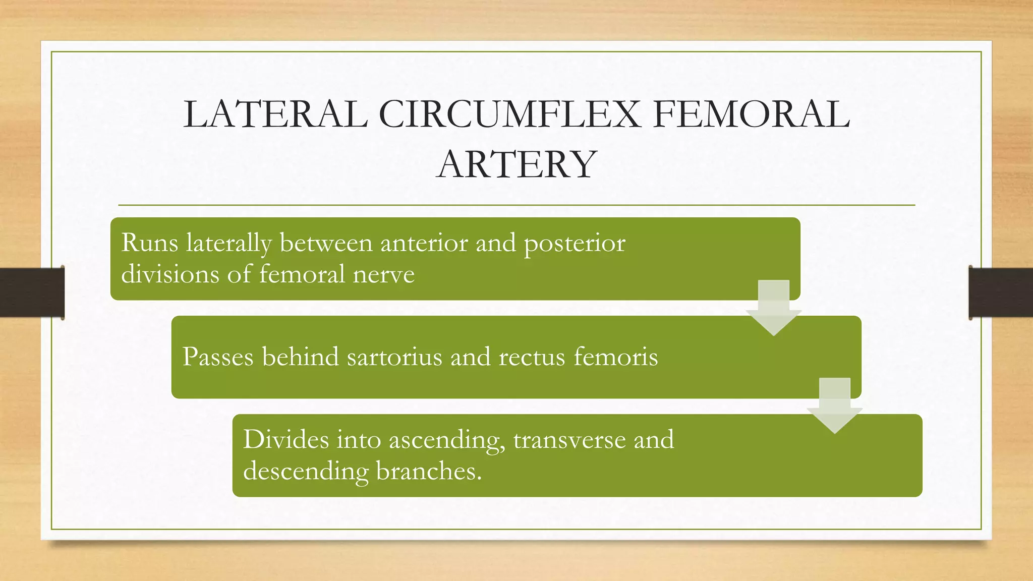 PROFUNDA FEMORIS ppt.pptx