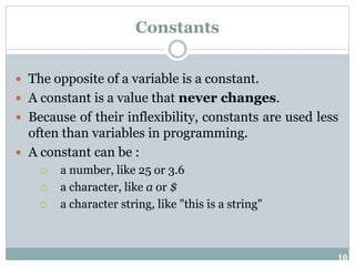 Fundamentals of Programming Chapter 4 | PPT