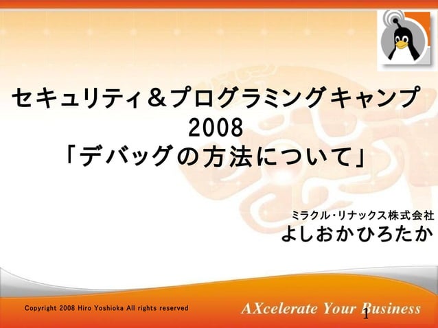 programming camp 2008, Debug | PPT