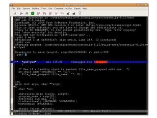 programming camp 2008, Debug | PDF