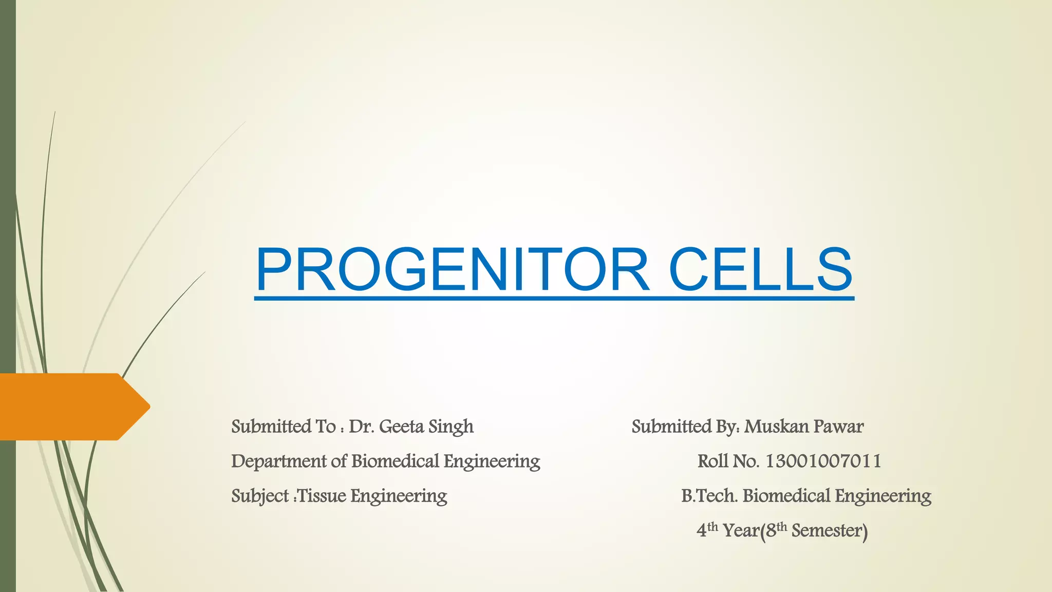 Progenitor cells. muskan | PPTX