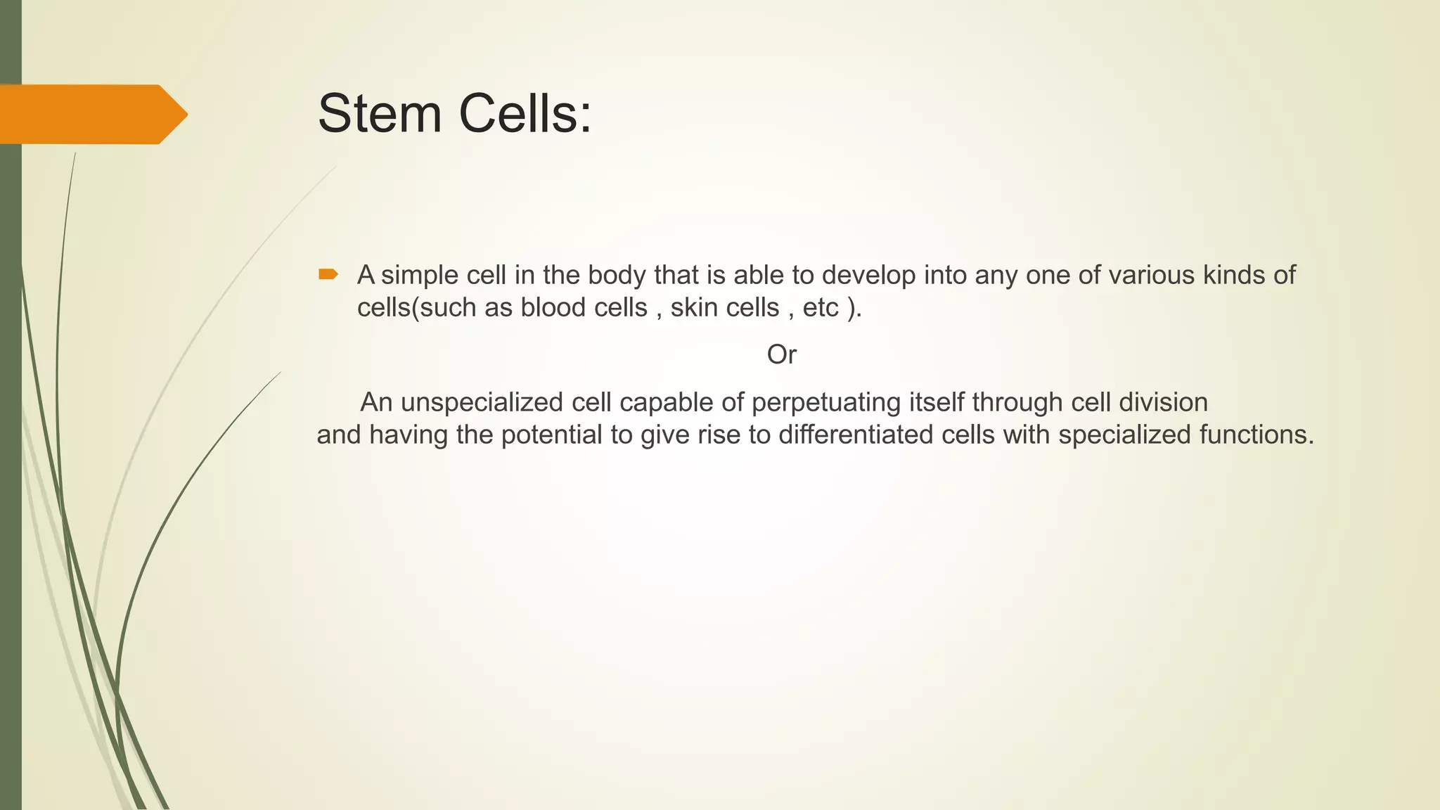 Progenitor cells. muskan | PPTX