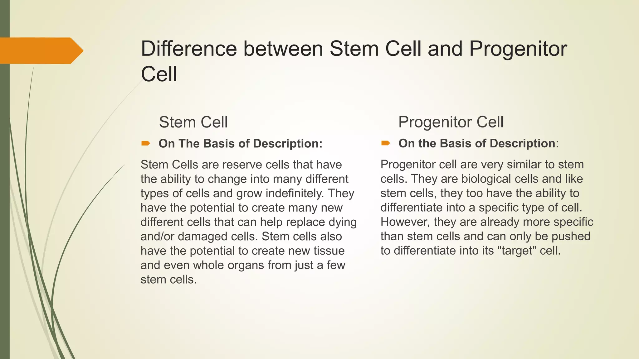 Progenitor cells. muskan | PPTX