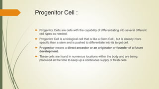 Progenitor cells. muskan | PPTX
