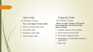 Progenitor cells. muskan | PPTX