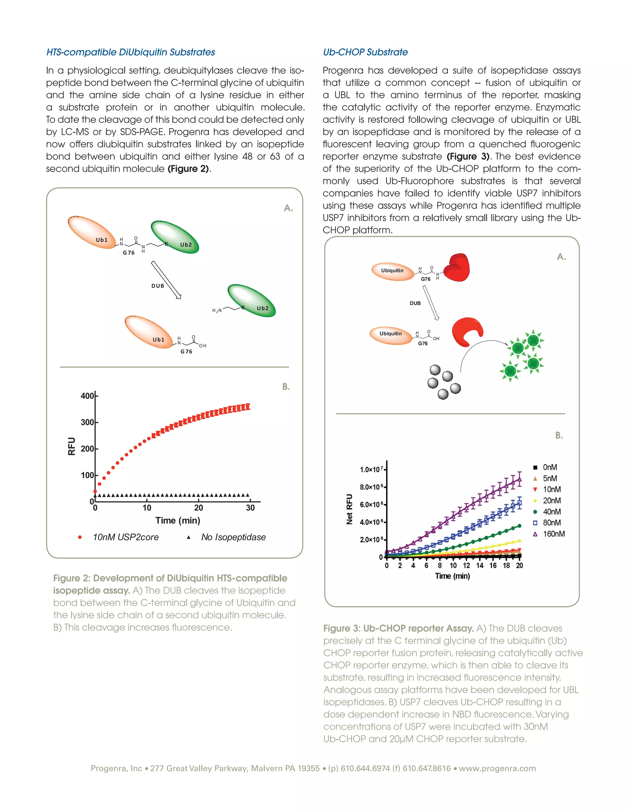 Progenra Ubi Pro Drug Discovery Platform Deubiquitylase | PDF