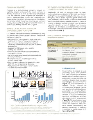 Progenra Ubi Pro Drug Discovery Platform E3 Ligase | PDF | Endocrine ...