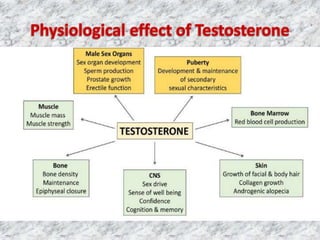 Progesterone and testosterone | PPTX